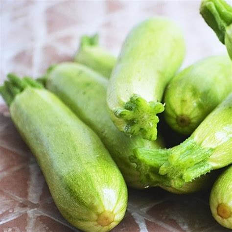 Кабачок Акробат - купить семена в Украине дешево | Florium.ua