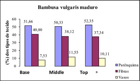 Distribution Of Different Components Of Bamboo Measured In The