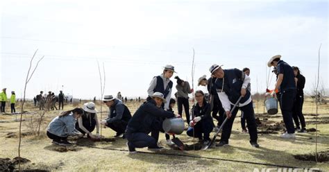 몽골에 16년째 이어지는 나무심기 봉사활동