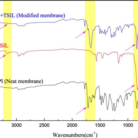 FT IR Spectra Of PI Neat Membrane TSIL NH Ebim PF And PI TSIL Download Scientific