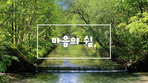 쉼 잔잔한 계곡물소리 마음의 여유 집중할수있는 시간 명상 60분재생 물소리 계곡물소리 잔잔한물소리 물흐르는소리 힐링소리 Youtube