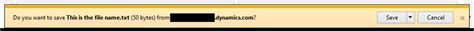 How To Save Files In A Supported Manner Using Dynamics Magnetism Solutions NZ Auckland