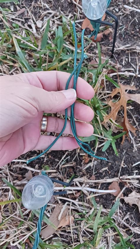 How To Reconnect Chewed Wires R Christmaslights