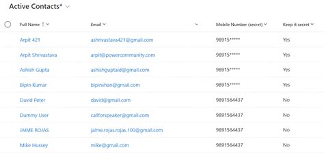 conditionally secure mask column in microsoft dataverse arpit power guide