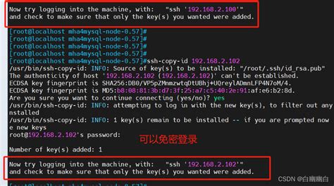 Mysql集群高可用架构之mhamysql Mha Csdn博客