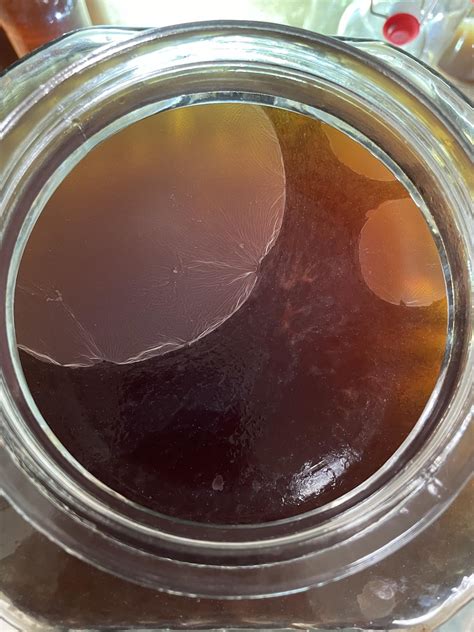 Started A Fresh Batch With A Scoby And Starter I Ordered Online Yielded