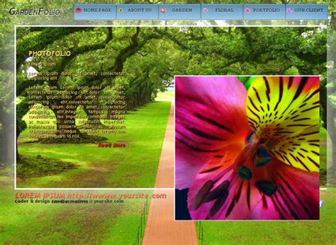 Collection Of 51 Free Html5 And Css3 Website Templates