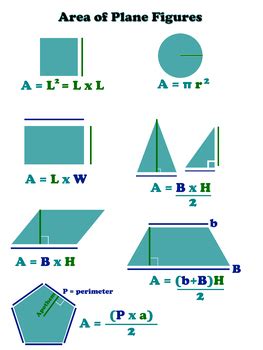 Area Of A 2D Shape 18x24 By Marissa Labelle Teachers Pay Teachers