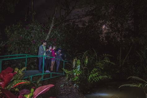 2023 Ecogarden Arenal Night Walk
