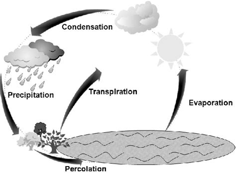 figure 1 from grayscale image enhancement using water cycle algorithm