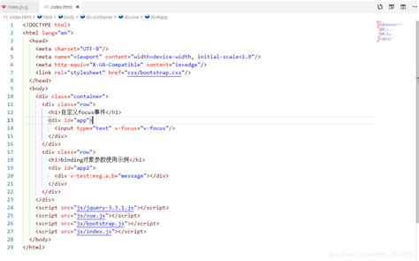 vue 在自定义指令的时候警告[vue warn] property or method v is not defined on the