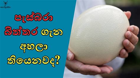 පැස්බරා බිත්තර කාලා තියෙනවද Youtube