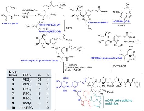 Peg Linker A Key Linker That Facilitates Drug Targeted Adc Therapy