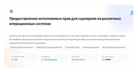 Предоставление исполняемых прав для сценариев на различных операционных системах Labex