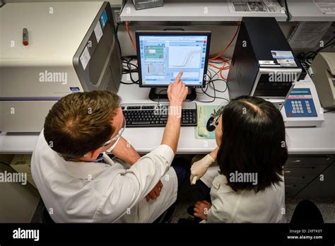 Scientist Examining Analysis Of River Water Whilst Testing For Platypus Dna Cesar Research