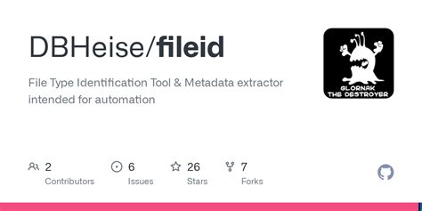 Github Dbheisefileid File Type Identification Tool And Metadata
