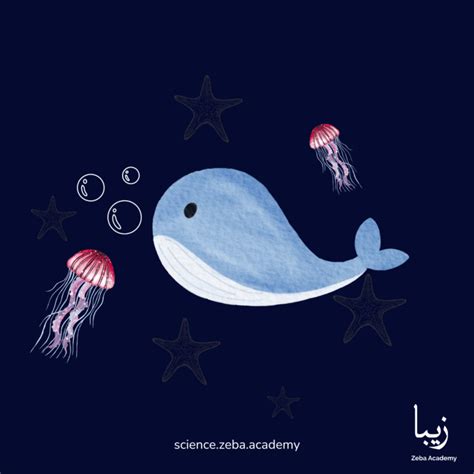 Oceanography And Marine Life Science By Zeba Academy