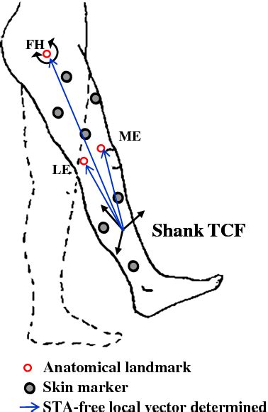 Figure 1 From Soft Tissue Artifact Compensation Using Displacement Dependency Between Anatomical