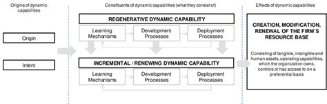 Figure Nine Conceptual Framework For Dynamic Capabilities Download Scientific Diagram