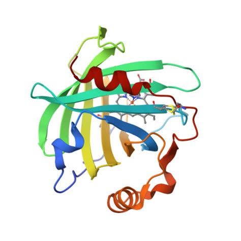 Rcsb Pdb 1ywd 1 08 A Structure Of Ferrous Np4 Aquo Complex