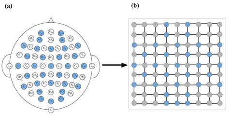EEG Input Construction A The 32 Channel EEG Placement In This Download Scientific Diagram