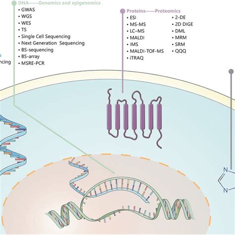 Multi Omics Approaches In Ad We List The Methods Currently Available