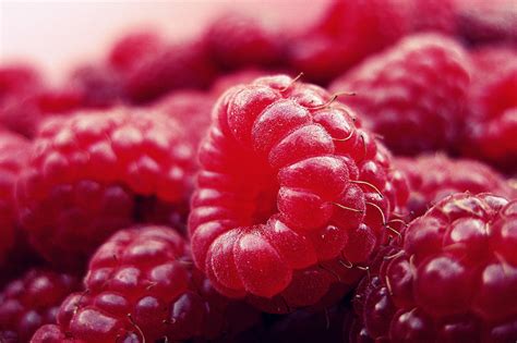 Free Images : natural foods, berry, frutti di bosco, blackberry ...