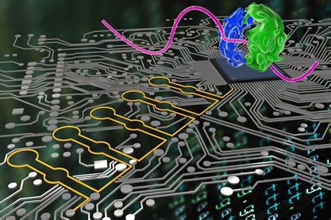 Going Beyond Human Brains Deep Learning Takes On Synthetic Biology