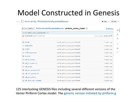 Ppt Vanier Piriform Cortex Model Powerpoint Presentation Free