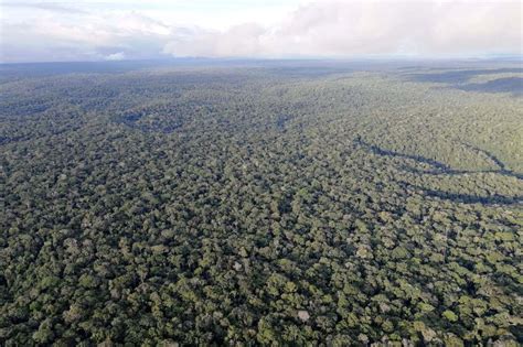 Deforestation Is Reducing Rainfall All Over The Tropics New Scientist