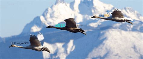 Schema Migrations In Dolt Dolthub Blog