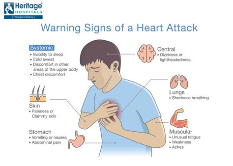 How To Prevent A Cardiac Arrest What You Need To Know