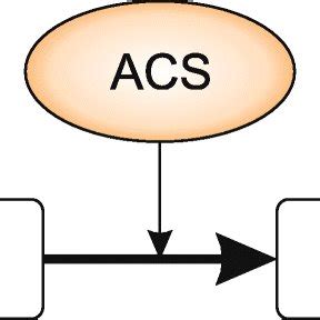 A Hypothetical Model Of The Sex Determination Process Showing Download Scientific Diagram