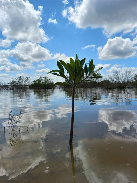 𝕃𝕒𝕤 𝕔𝕙𝕖𝕝𝕚𝕟𝕖𝕤 𝕃𝕒𝕤 𝕔𝕙𝕖𝕝𝕚𝕟𝕖𝕤 Added A New Photo