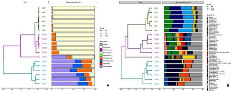 a cluster analysis based on the weighted unifrac distance matrix in