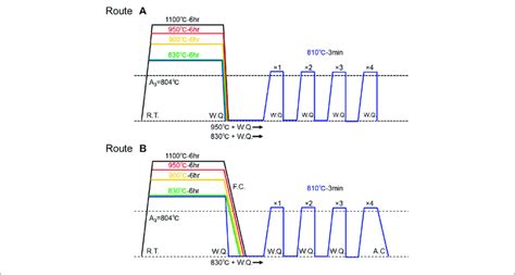 Schematic Representations Showing The Heat Treatment Routes To Obtain Download Scientific