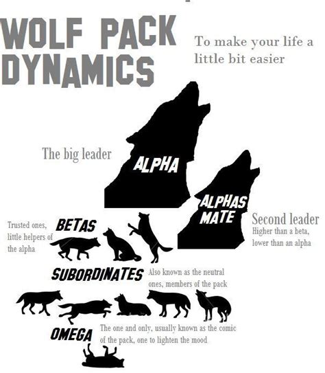 Visual Chart Wolf Pack Wolf Quotes Wolf