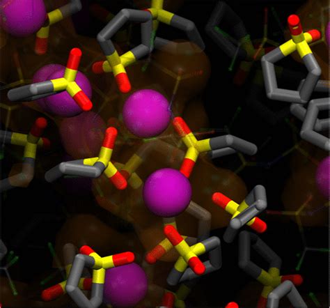 Lithium Ion Dynamics In Sulfolane Based Highly Concentrated Electrolytes The Journal Of