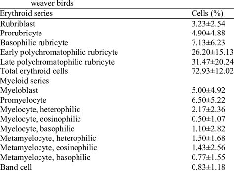 Cellular Composition Of The Bone Marrow Of Adult Village Download Scientific Diagram