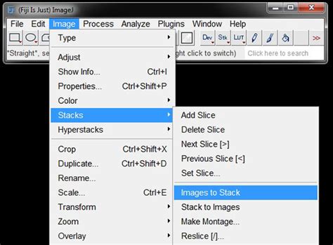 Part 7 Working With Stacks · Fiji Basics