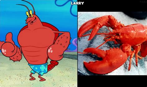 شخصیت های باب اسفنجی خارج از بیکینی باتم این شکلین