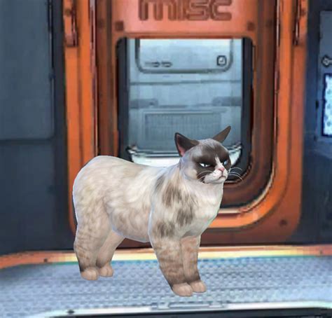 Grumpy Cat Meme Cat The Sims Sims LoversLab Grumpy Cat Meme Cat The Sims Sims LoversLab