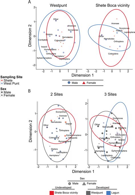 Nonmetric Multidimensional Scaling Based Visualizations Of Stomach