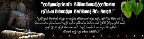 ධර්මයේ හැසිරෙන්නා ධර්මය විසින් සුරකිනු ලබයි Vesak Siduhath Upatha සිදුහත් උපත