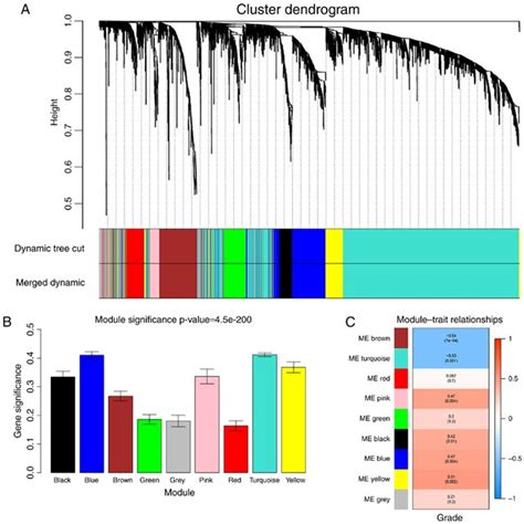 Identification Of Modules Associated With The Progression Of Ccrcc A