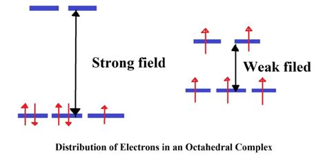 Distribution Of Electrons In Octahedral Complex System Download