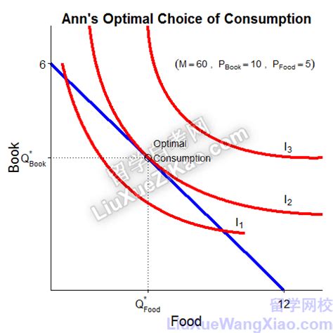 了解无差异曲线 Indifference Curves 和预算线 Budget Lines ：探索消费者的选择 留学自考网