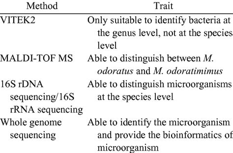 Comparison Of The Present Approaches For Strain Identification Of