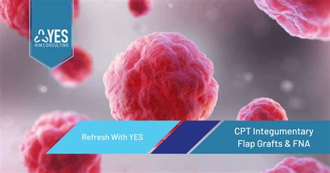 Fine Needle Aspiration Core Needle Biopsy Cpt Integumentary Webinar