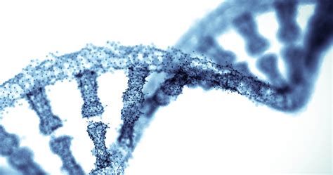 Validity Genetics Dna And Paternity Testing Services